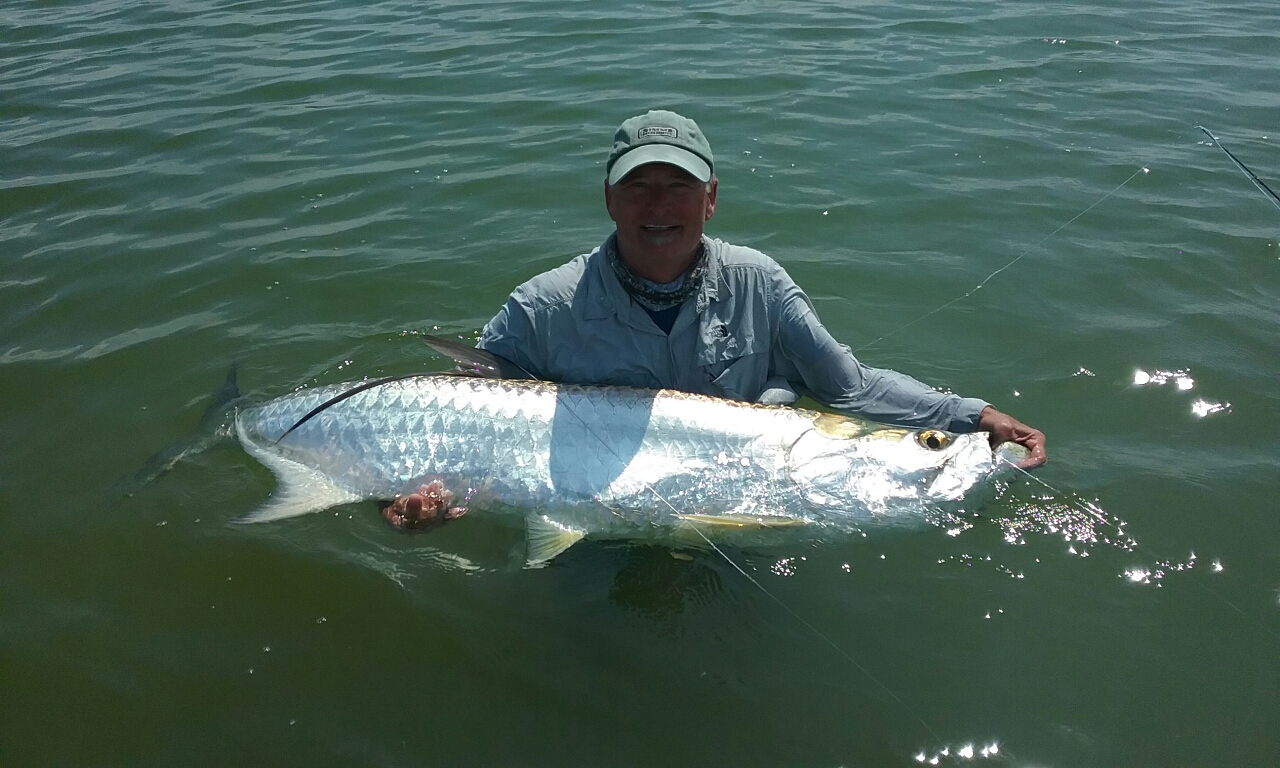 Tarpon Crashing Bait! | Action Belize