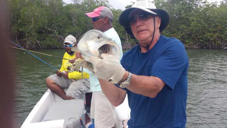 Snook Abundant in Rivers – Great Fighters | Action Belize